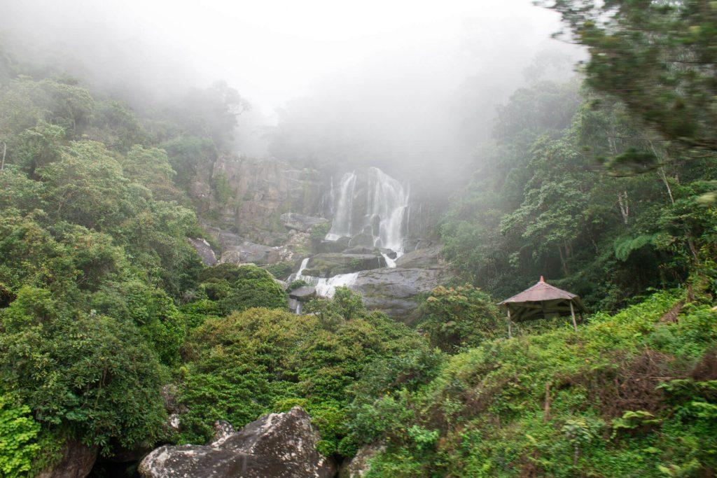 Le long du train Fianarantsoa — Manakara - Wolidays - Blog voyage